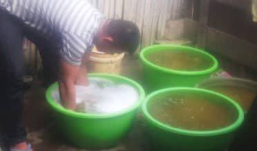 Aplikasi Pada Tanaman Padi Sawah - DI GROW—Situs Resmi