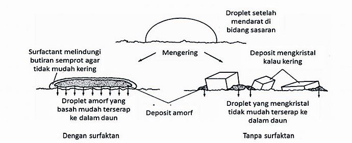 FUNGSI SURFAKTANTERHADAP EFEKTIVITAS & EFISIENSI PENYEMPROTAN - DI GROW ...