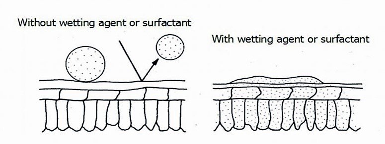 FUNGSI SURFAKTANTERHADAP EFEKTIVITAS & EFISIENSI PENYEMPROTAN - DI GROW ...