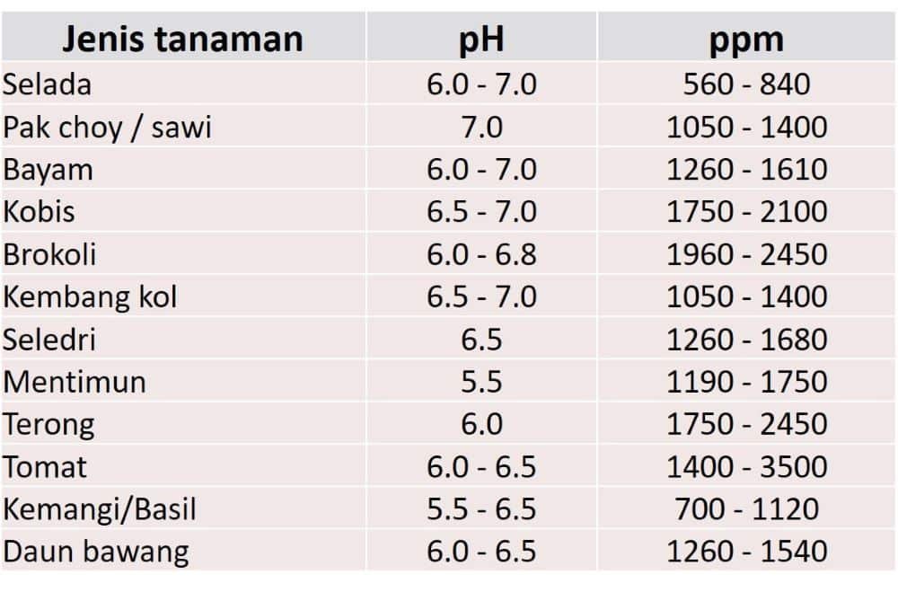 HIDROPONIK….TREND BERKEBUN DI SAAT PANDEMI COVID-19 - DI GROW—Situs Resmi