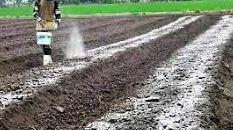 6 LANGKAH AGAR TANAH KEMBALI SUBUR - DI GROW—Situs Resmi