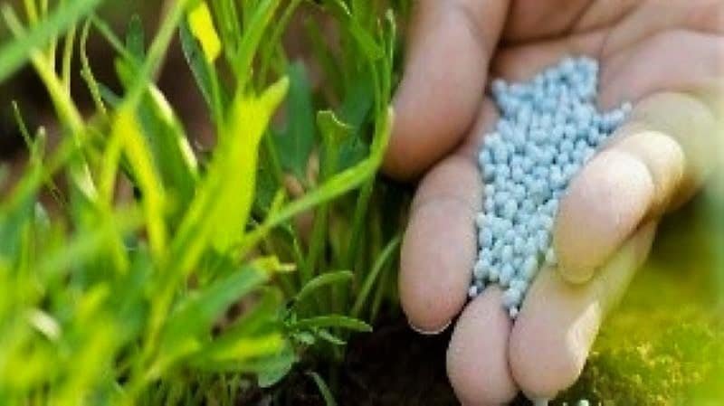 6 LANGKAH AGAR TANAH KEMBALI SUBUR - DI GROW—Situs Resmi