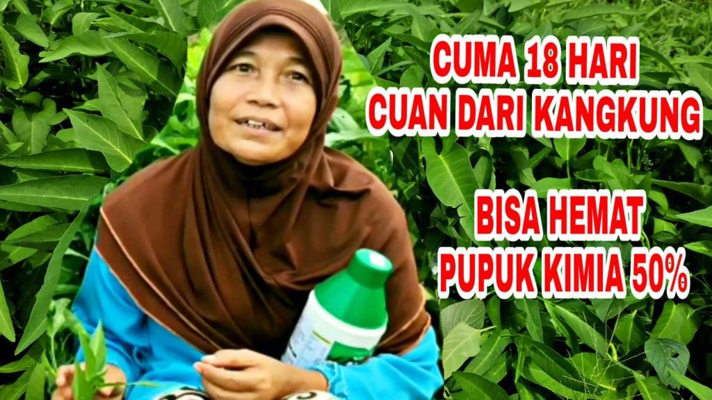DEMPLOT DIGROW PADA TANAMAN KANGKUNG - DI GROW—Situs Resmi
