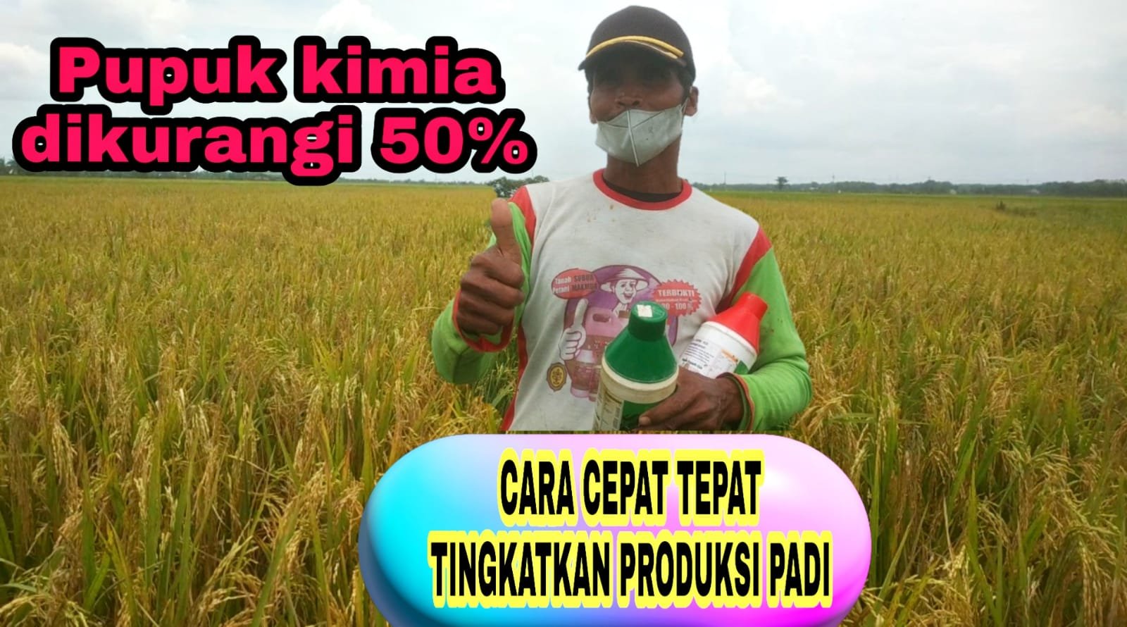 CARA CEPAT TEPAT TINGKATKAN PRODUKSI PADI - DI GROW—Situs Resmi